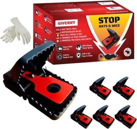 Comment se débarrasser des trous de rat dans le jardin ? Conseils et ...