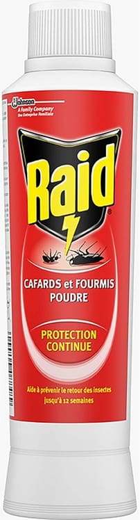 Comment se débarrasser définitivement des cafards ? Solutions