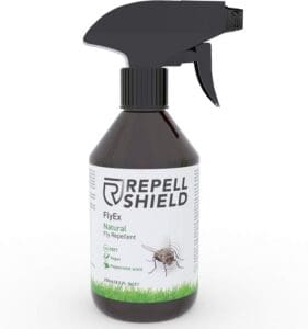 Se débarrasser des mouches efficacement : Nos solutions