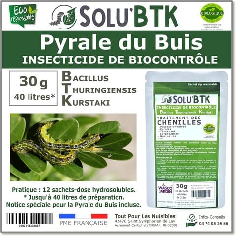 Comment se débarrasser des chenilles processionnaires ? TOUTES LES ...
