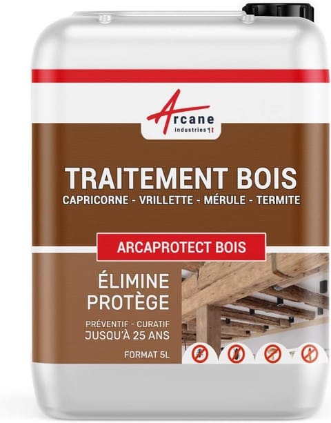 Comment se débarrasser des termites ? Meilleures solutions