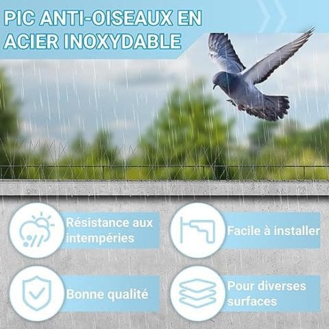 Pics anti-pigeon : la meilleure barrière contre les volatiles