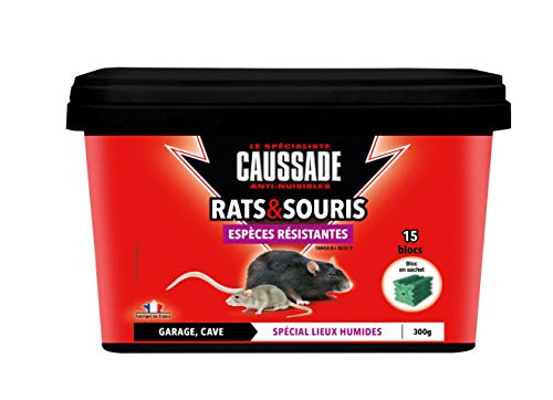 Les meilleurs Raticides : Top 3 des poisons pour tuer le Rat
