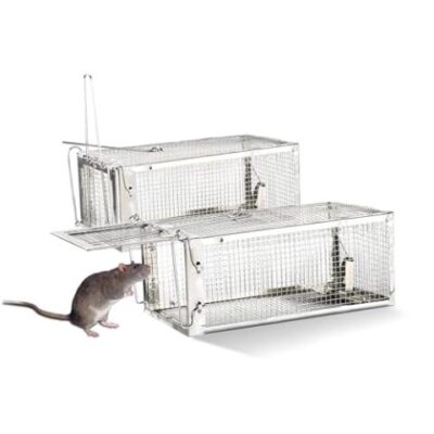 Comment se débarrasser des trous de rat dans le jardin ? Conseils et ...