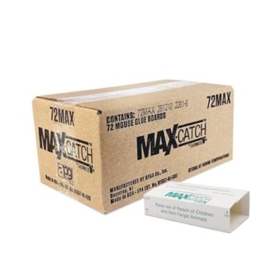 Comment se débarrasser des souris ? Meilleures solutions