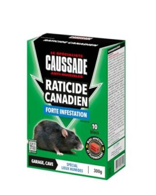 Les meilleurs Raticides : Top 3 des poisons pour tuer le Rat