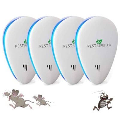 Se débarrasser des mouches efficacement : Nos solutions